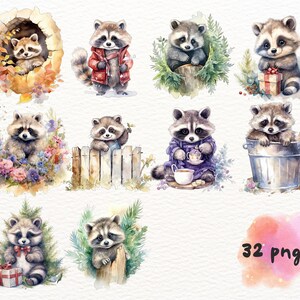 Chubby Raccoon Watercolor Clipart - Cute Kawaii Cartoon Raccoons, Baby ...