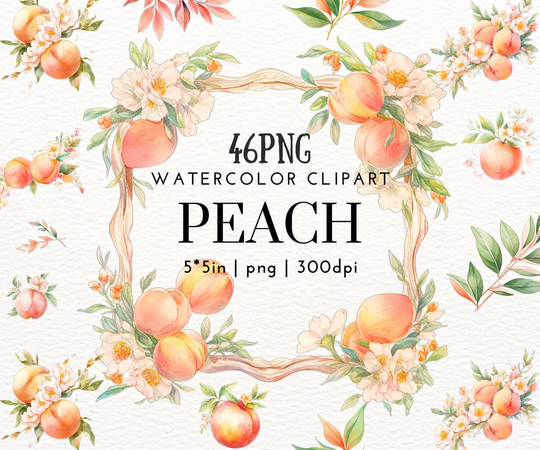 Peach Watercolor Clipart, Decorative Frame, Line, Leaf, Fruit, Divider ...