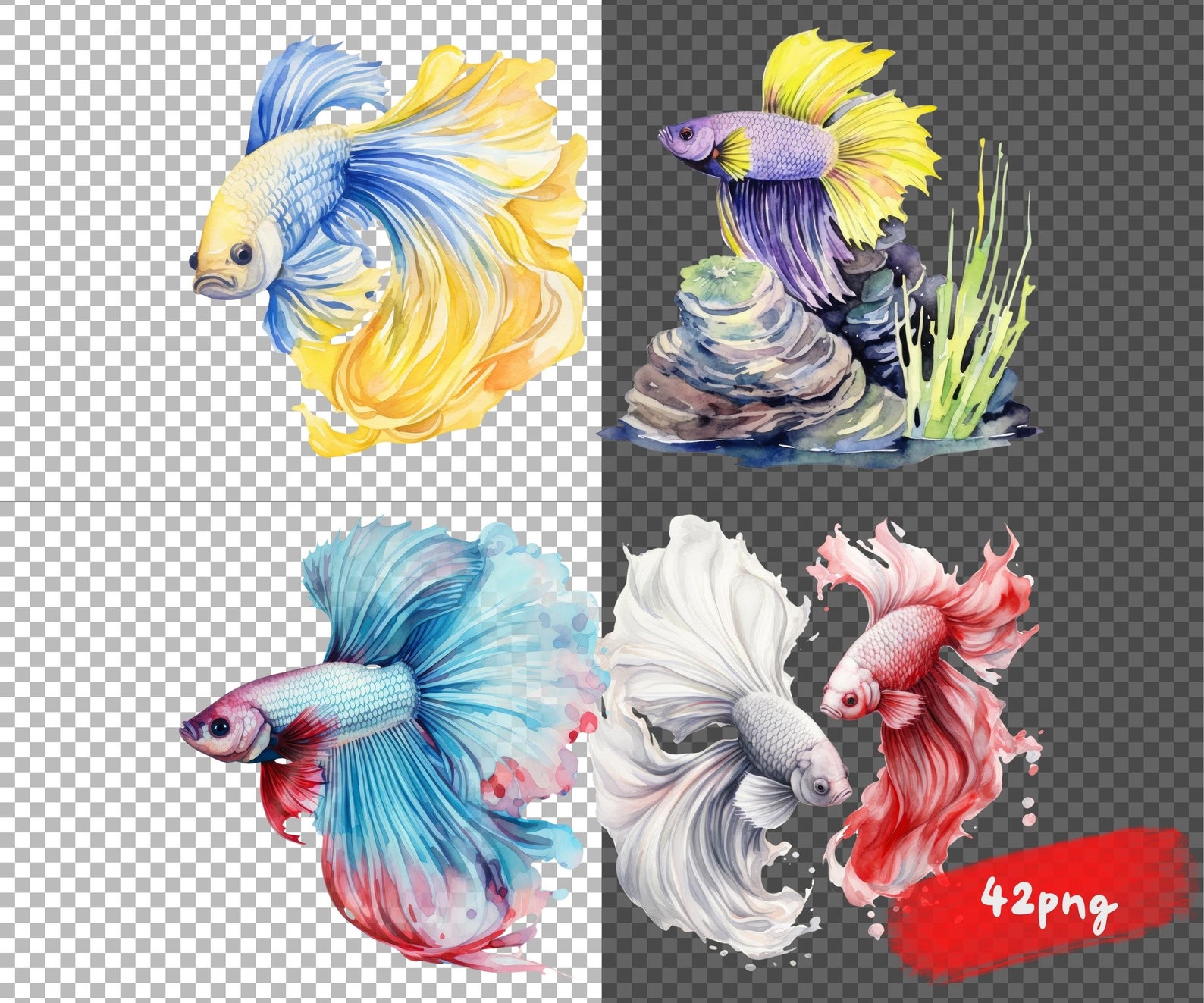 Watercolor Betta Fish Clipart Bundle , Colorful Vibrant Tropical ...