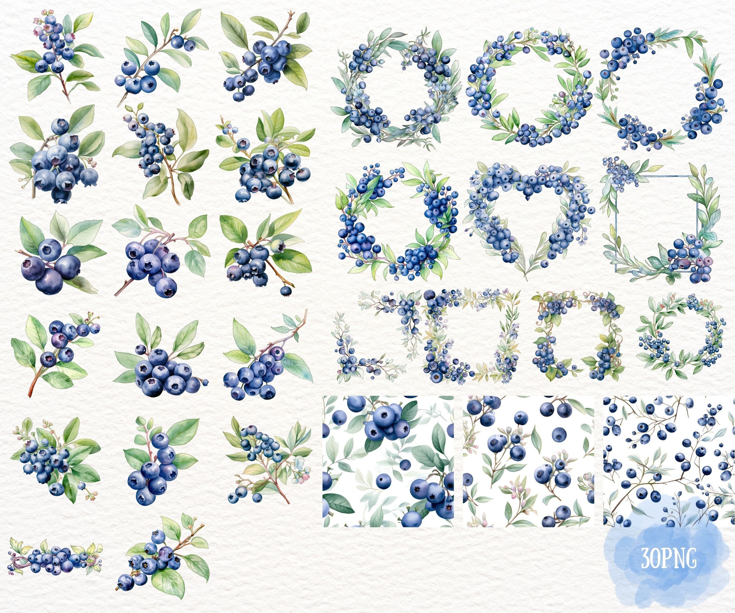 Blueberry Watercolor Clipart, Decorative Frame, Line, Leaf, Fruit ...