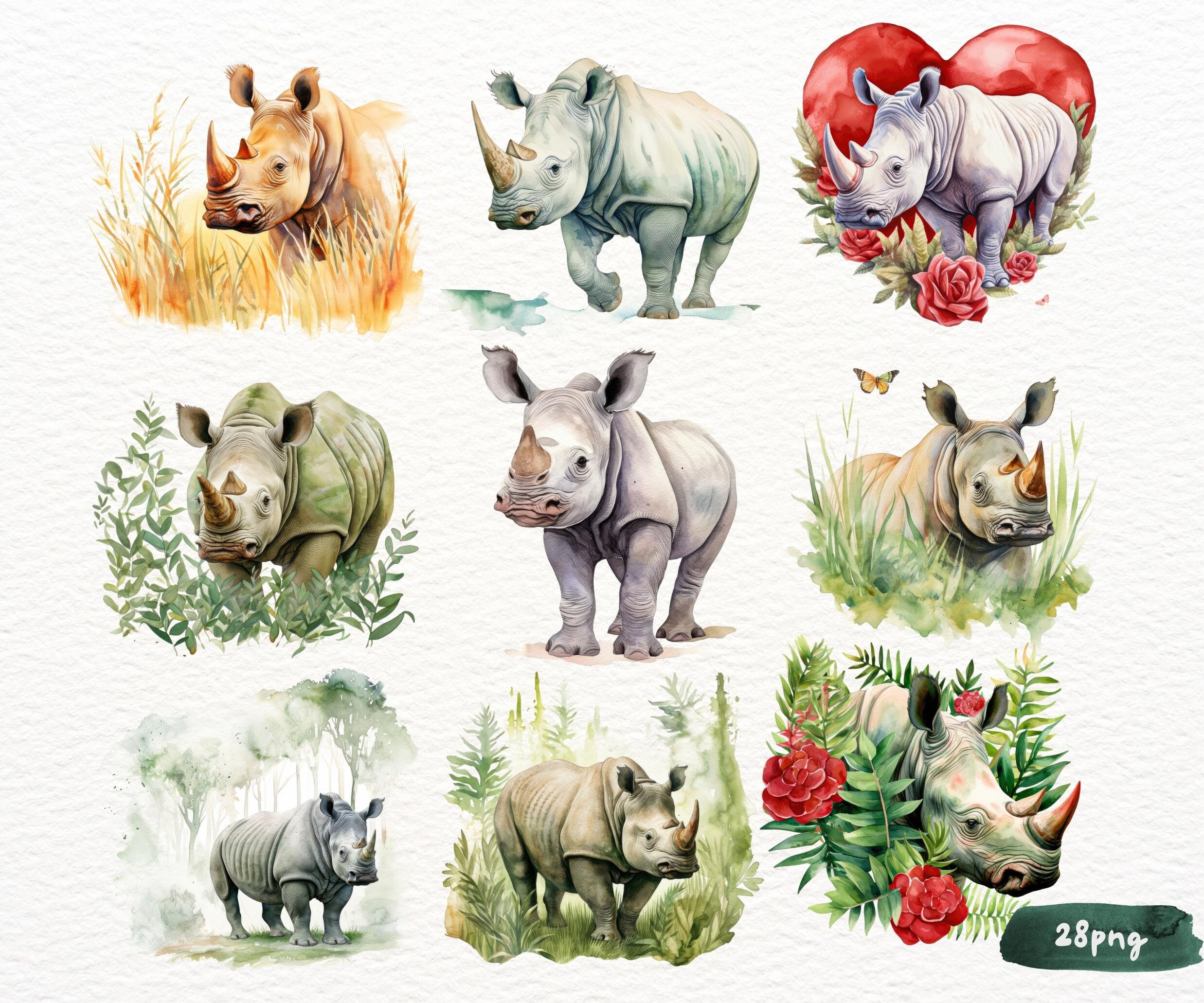 Rhinoceros Watercolor Clipart Bundle, Cute Baby Rhino PNG, Wild Safari ...