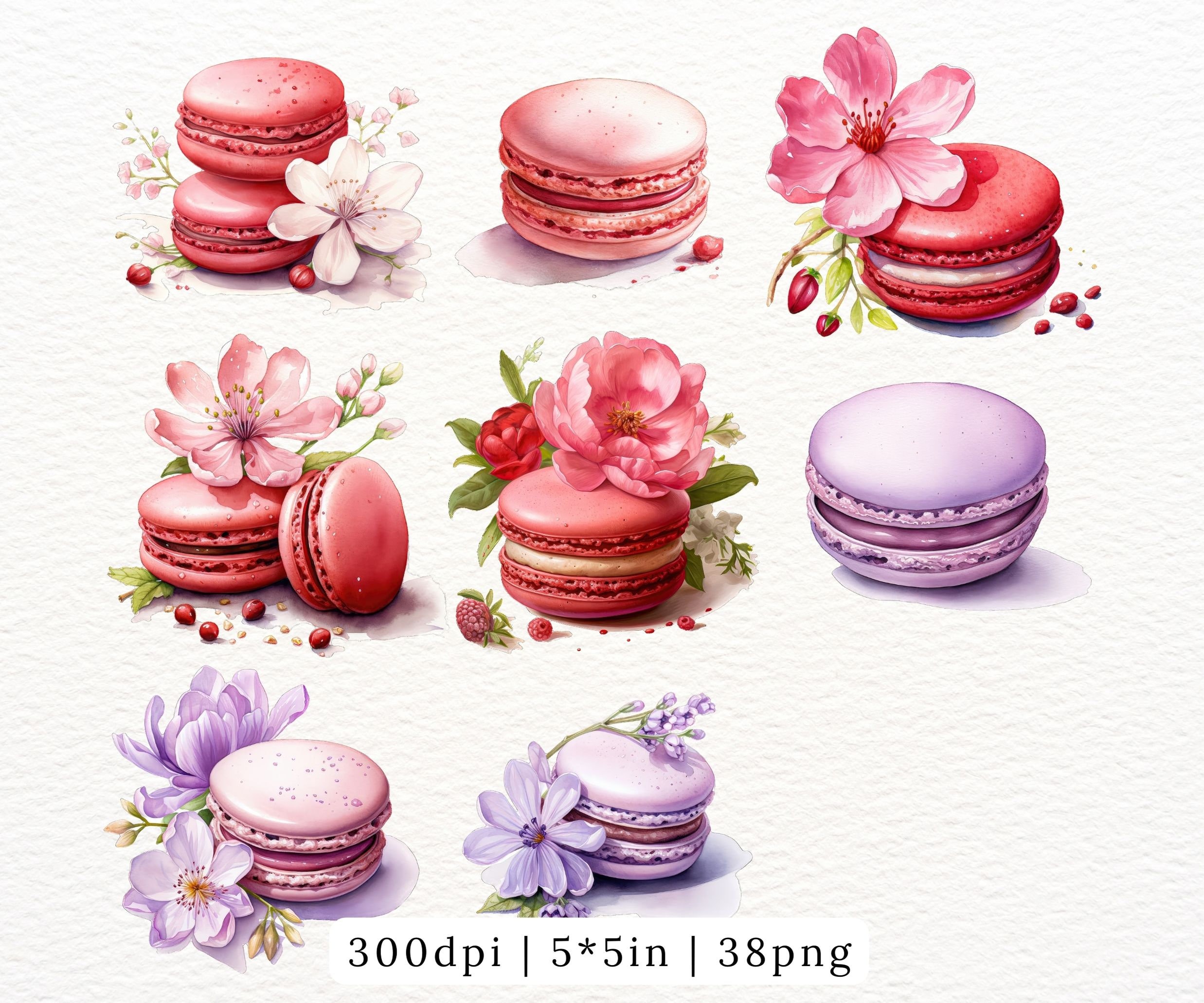 Watercolor French Macaron Clipart, Pastel Colors, Bakery Dessert With ...