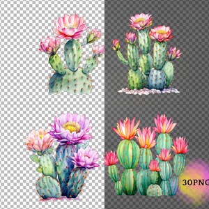 Watercolor Cactus Clipart - Desert Succulent PNG, Floral Cacti Stickers ...