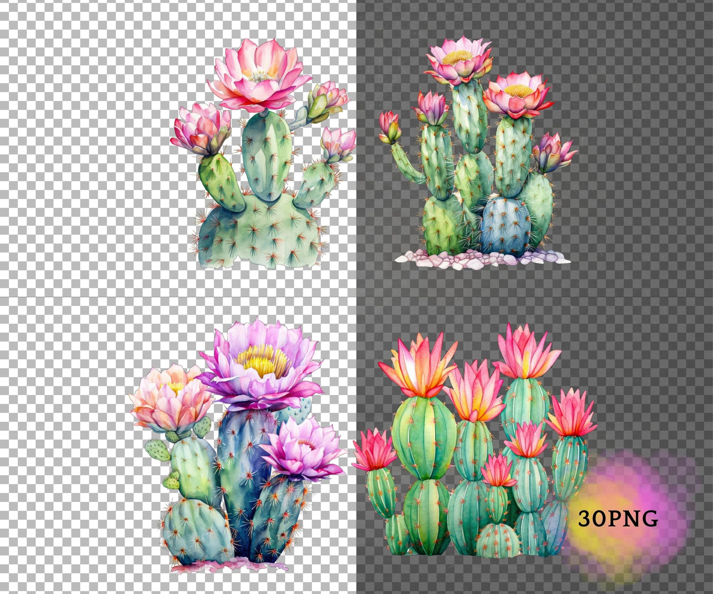 Watercolor Cactus Clipart - Desert Succulent PNG, Floral Cacti Stickers ...