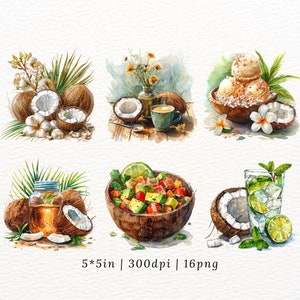 Watercolor Coconut Clipart PNG - Tropical Fruit Illustration Set ...