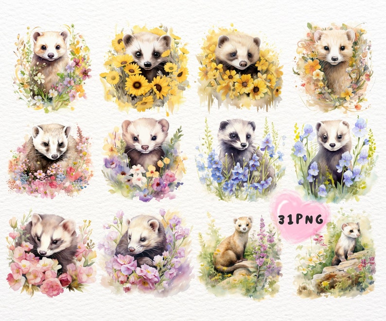 Watercolor Ferret Clipart Cute Kawaii Ferrets,baby Ferret Pngs ...