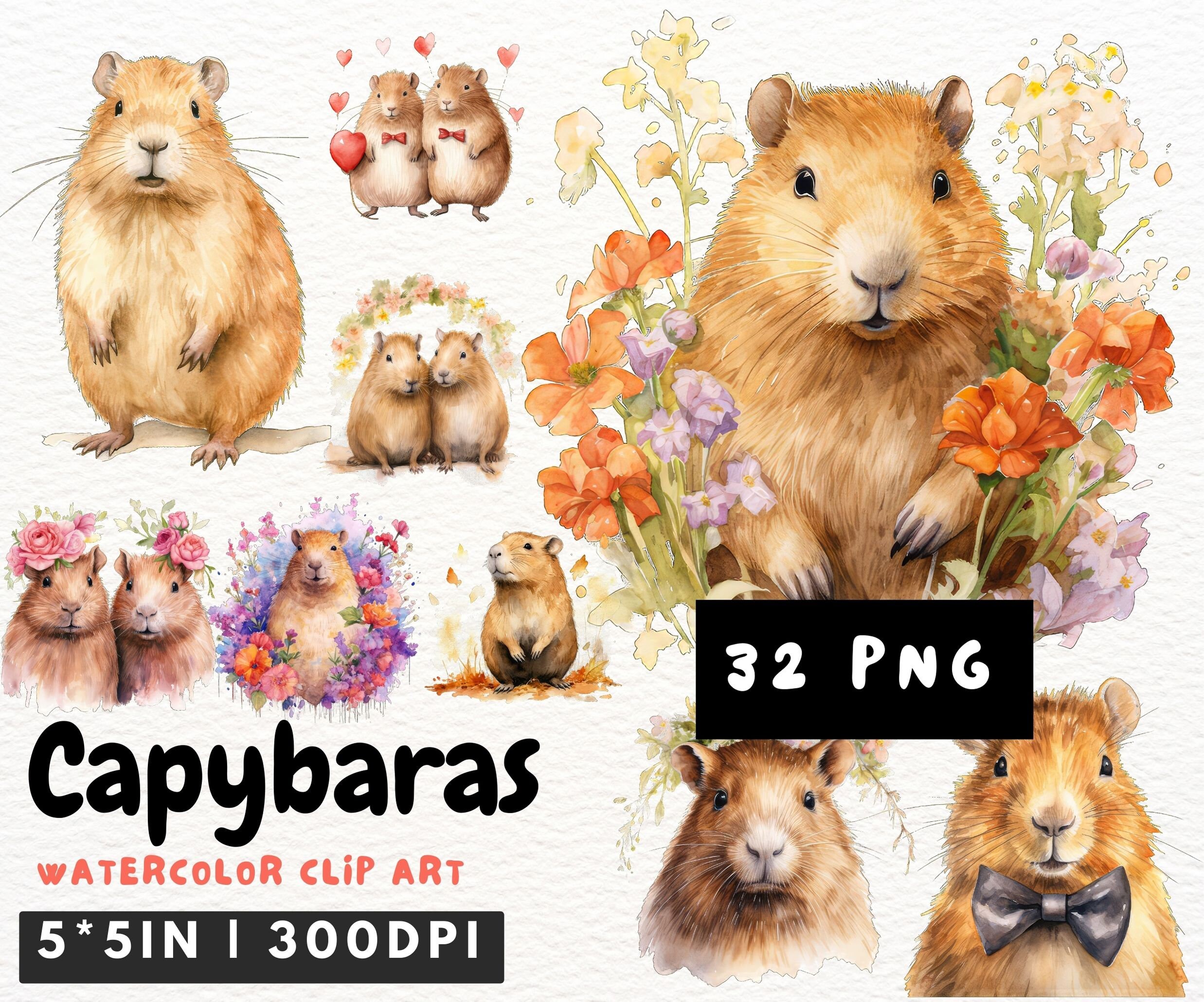 Chubby Capybaras Watercolor Clipart Cute Kawaii Cartoon - Etsy