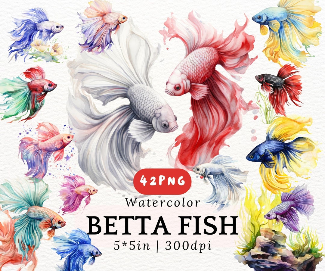 Watercolor Betta Fish Clipart Bundle , Colorful Vibrant Tropical ...