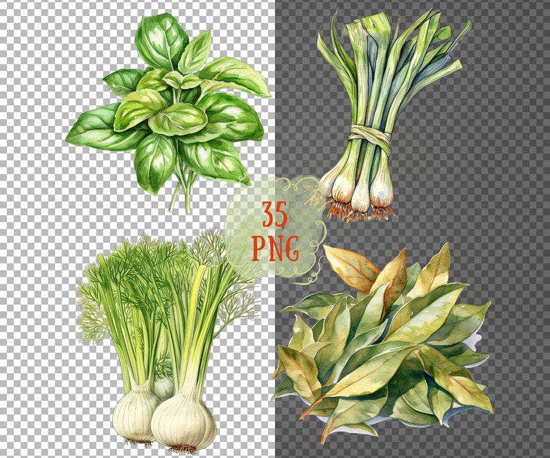 Herbs and Spices Watercolor Clipart, Chives, Basil, Garlic, Chili ...