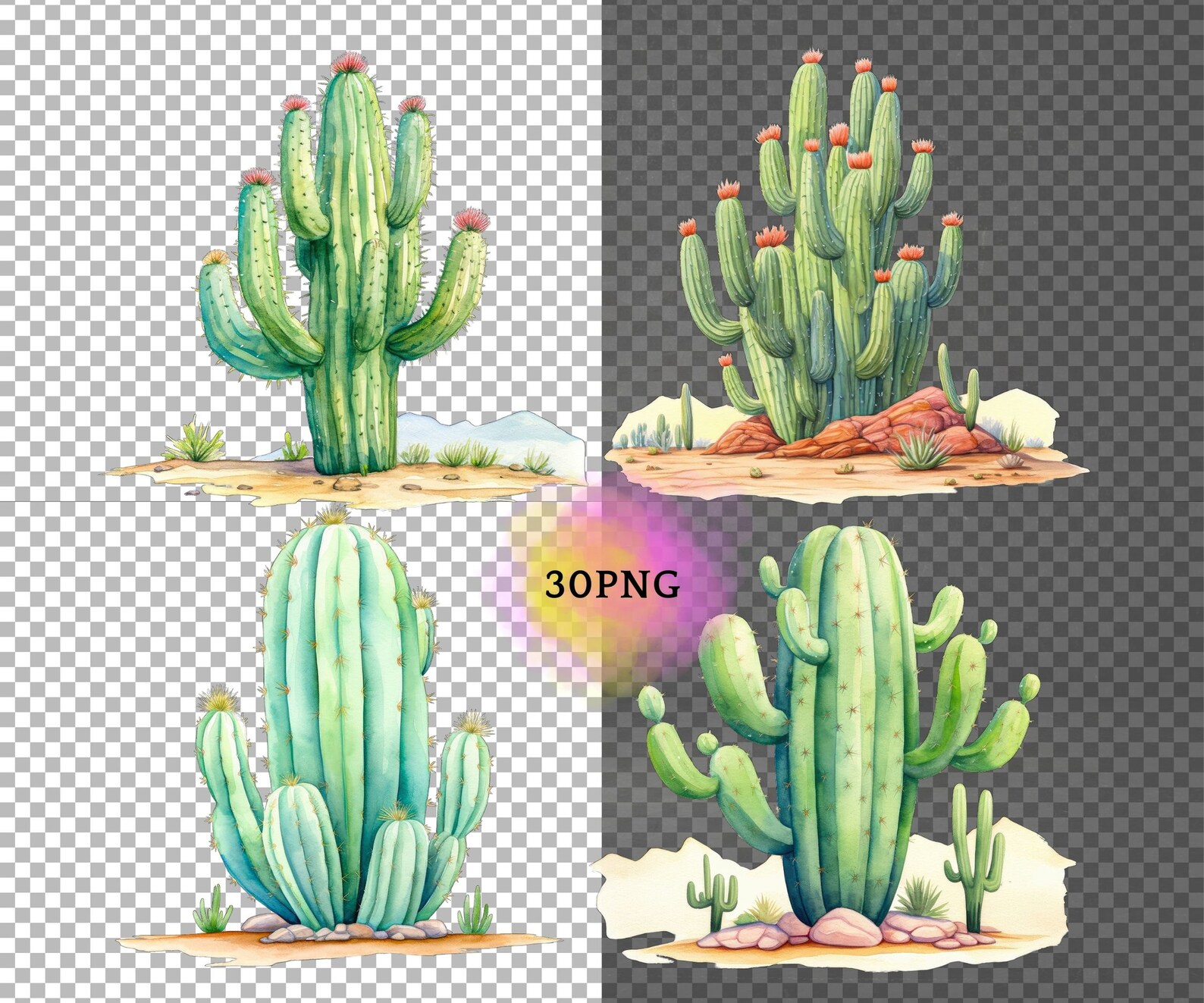 Watercolor Cactus Clipart - Desert Succulent PNG, Floral Cacti Stickers ...