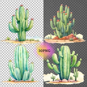 Watercolor Cactus Clipart - Desert Succulent PNG, Floral Cacti Stickers ...