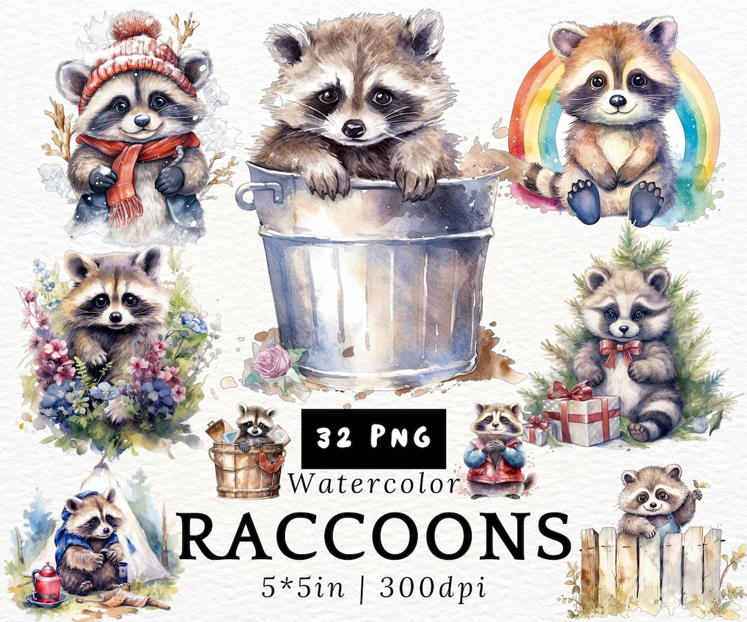 Chubby Raccoon Watercolor Clipart - Cute Kawaii Cartoon Raccoons, Baby ...