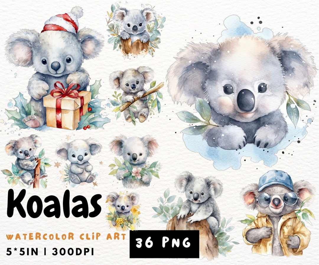 Chubby Koalas Watercolor Clipart Cute Kawaii Cartoon Koalas - Etsy
