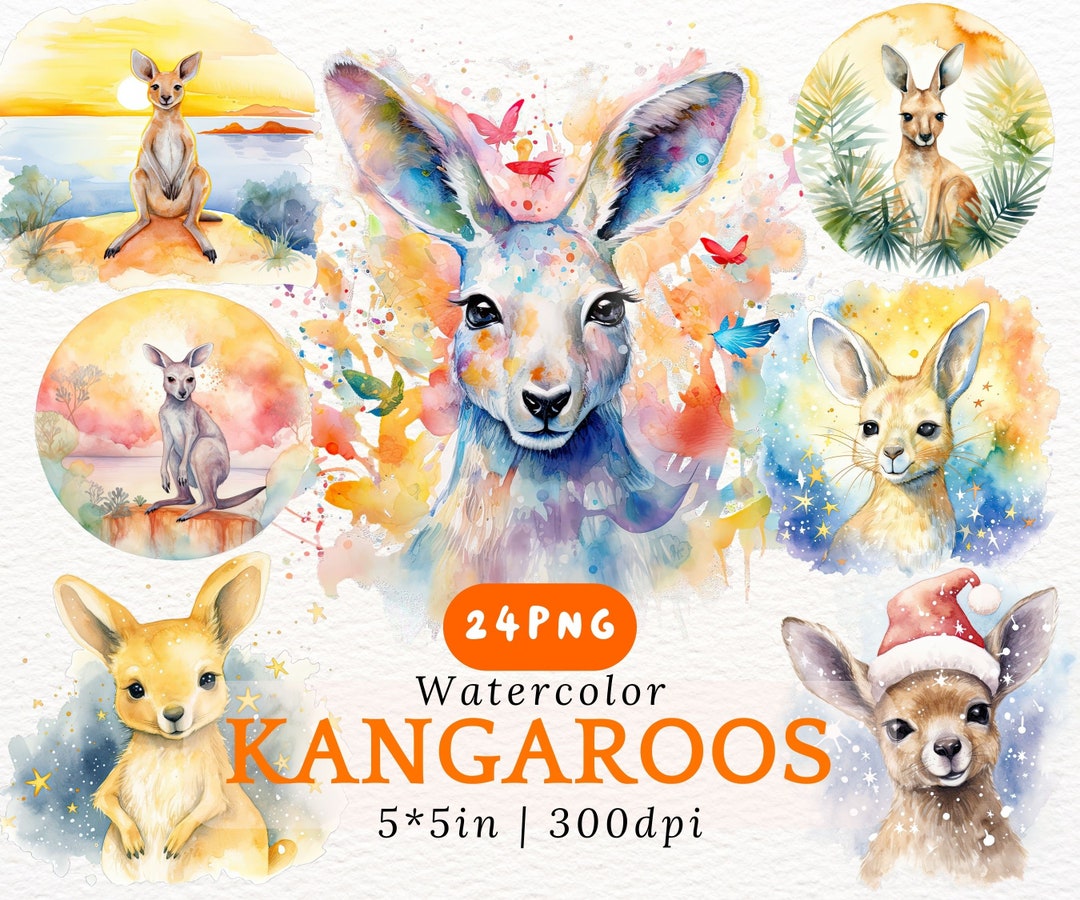 Watercolor Kangaroo PNG Clipart - 24 Australian Animal Illustration for ...