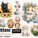 Chubby Kittens Watercolor Clipart Cute Kawaii Cartoon - Etsy