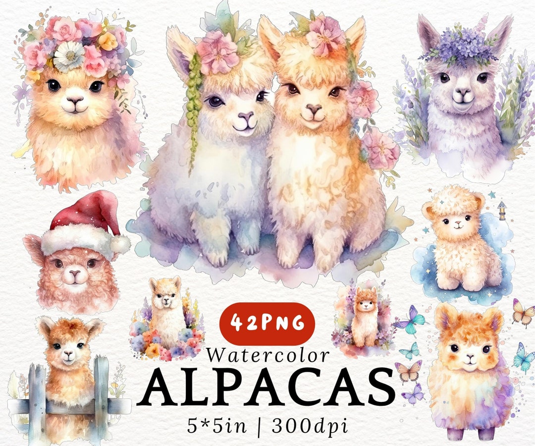 Chubby Alpaca Watercolor Clipart - Cute Kawaii Cartoon Alpacas, Baby ...