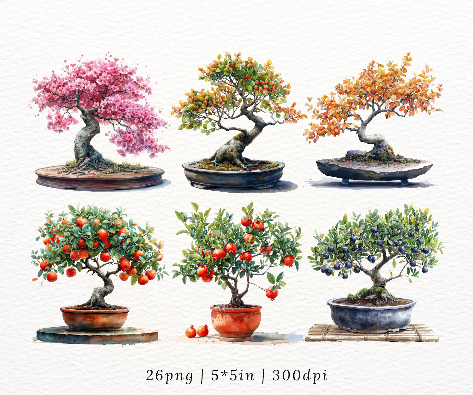 Watercolor Bonsai Tree Clipart - 26 PNG Miniature Tree Illustrations ...