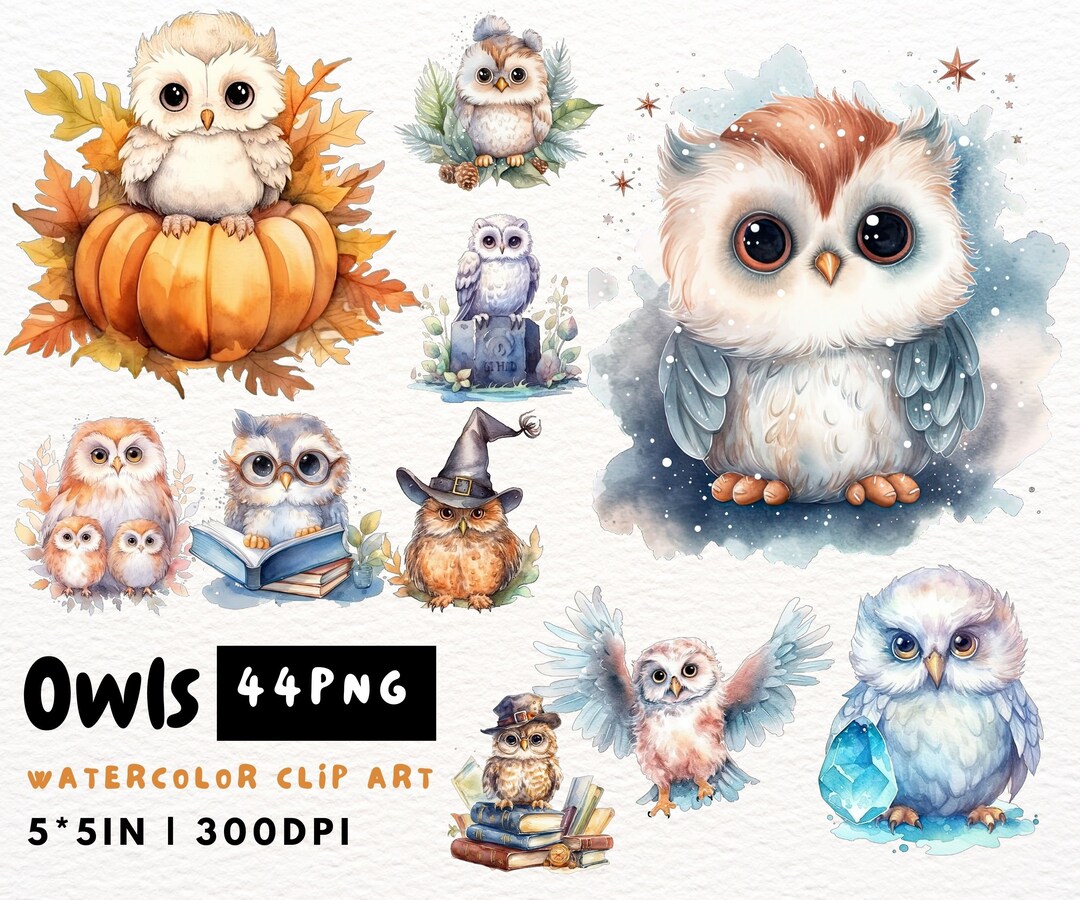Chubby Owls Watercolor Clipart Cute Kawaii Cartoon Owls - Etsy