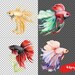 Watercolor Betta Fish Clipart Bundle , Colorful Vibrant Tropical ...