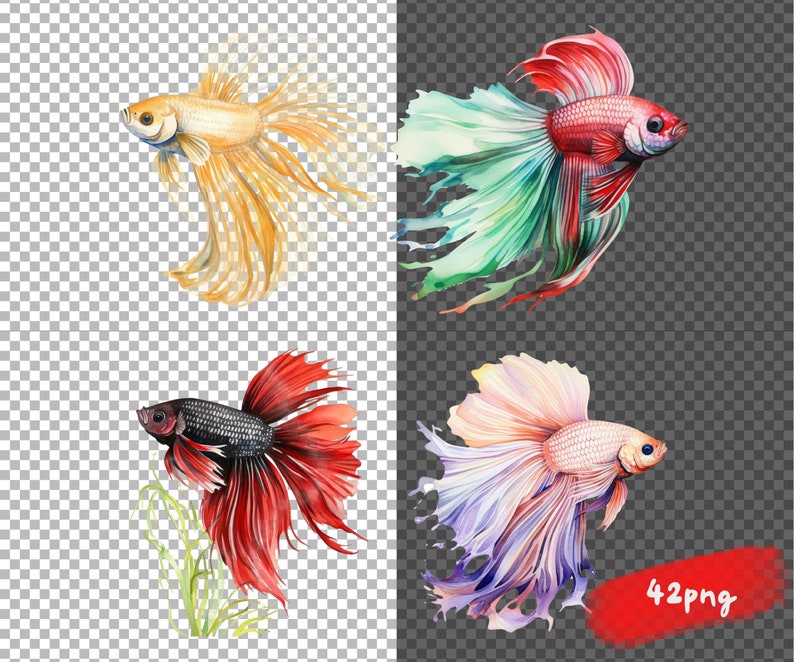 Watercolor Betta Fish Clipart Bundle , Colorful Vibrant Tropical ...