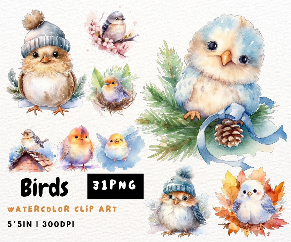 Chubby Birds Watercolor Clipart Cute Kawaii Cartoon Birds - Etsy