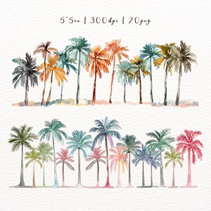 Colorful Watercolor Palm Tree Clipart, Tropical Summer PNG, Jungle ...
