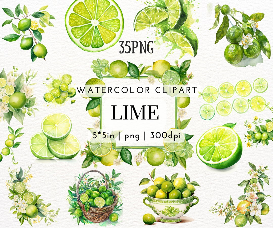 Watercolor Lime Clipart Set - Citrus Fruit PNG With Floral Wreaths ...