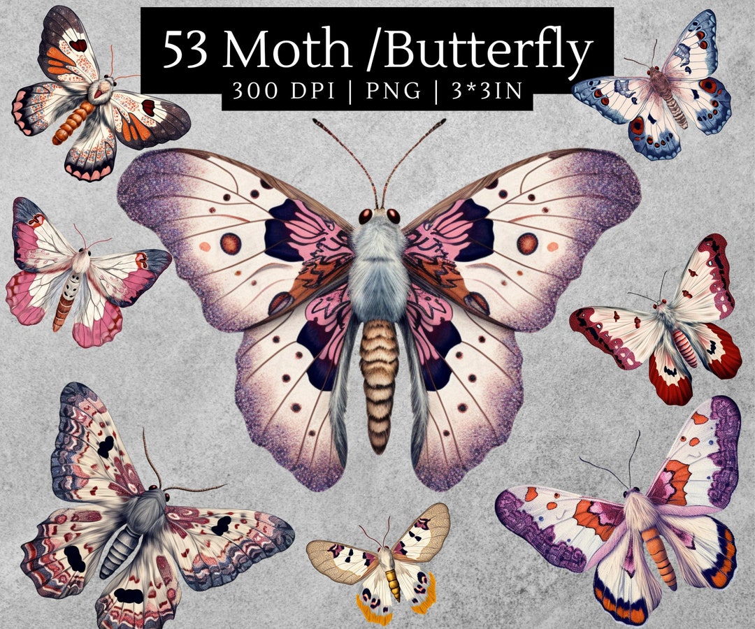 Mystical Moth Clipart Bundle - Set of 53,wiccan PNG, Witchcraft, Pagan ...