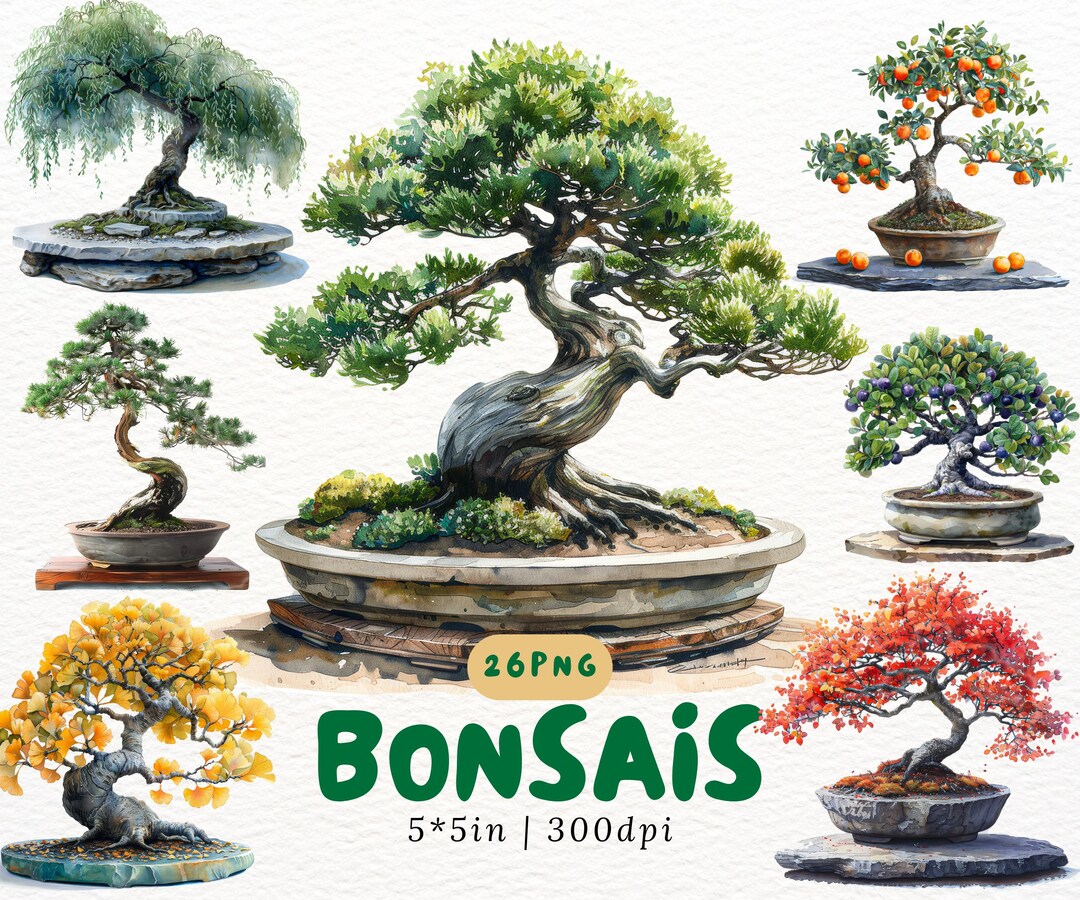 Watercolor Bonsai Tree Clipart - 26 PNG Miniature Tree Illustrations ...