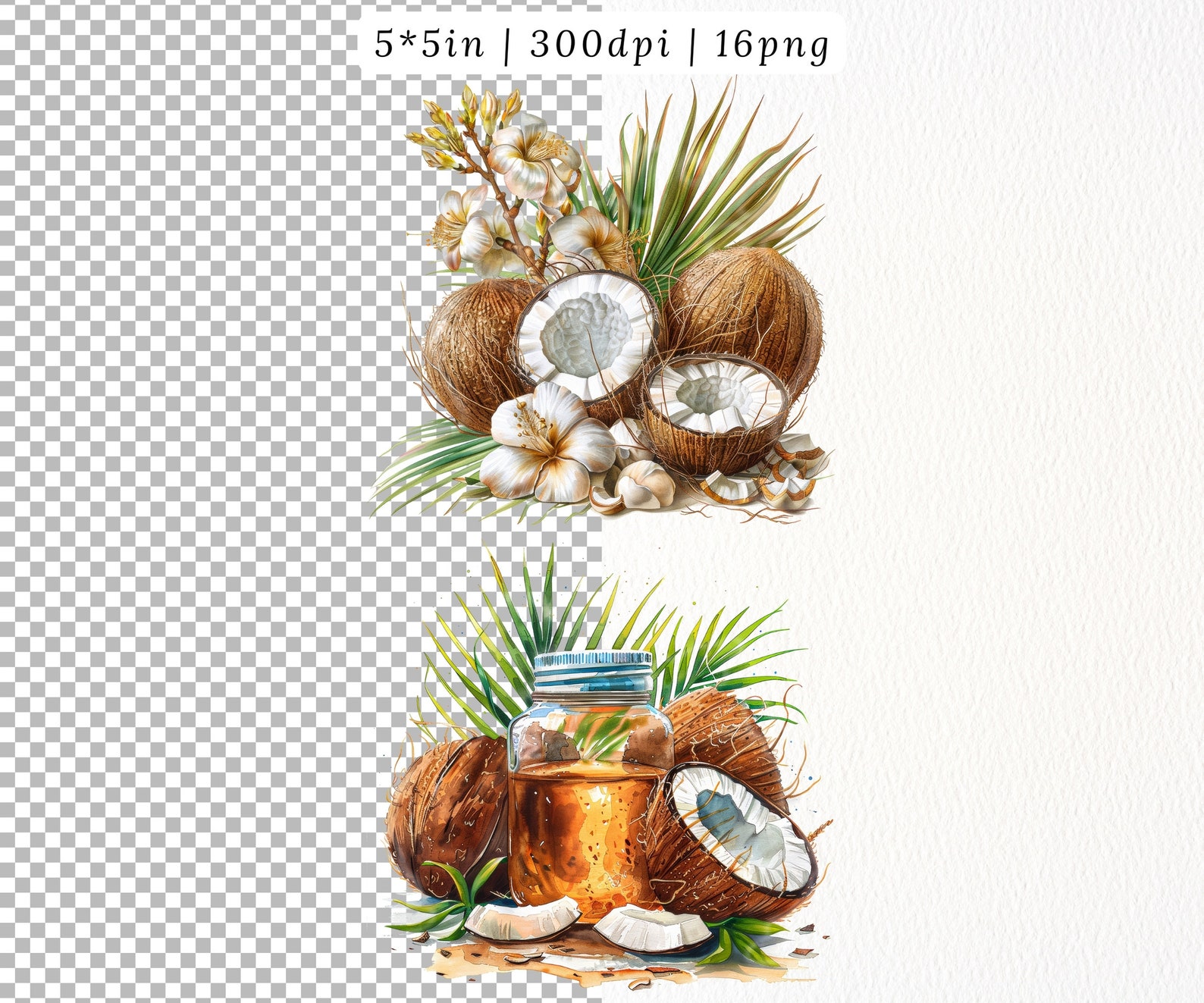 Watercolor Coconut Clipart PNG - Tropical Fruit Illustration Set ...