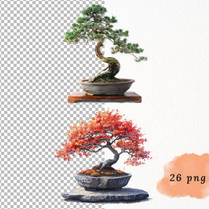 Watercolor Bonsai Tree Clipart - 26 PNG Miniature Tree Illustrations ...