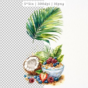 Watercolor Coconut Clipart PNG - Tropical Fruit Illustration Set ...