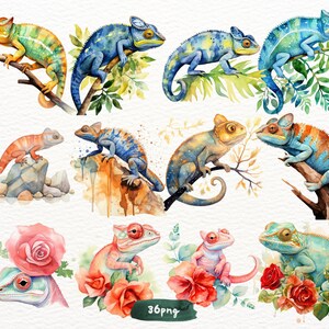 Watercolor Chameleon Clipart - Colorful Lizard Reptile PNG, Cute Floral ...