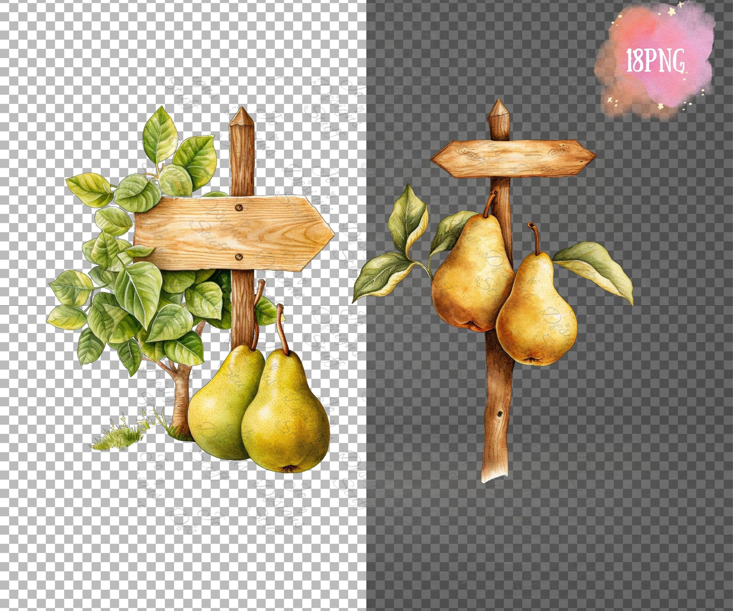 Watercolor Wooden Fruit Signs Clipart Vintage Village Rustic - Etsy