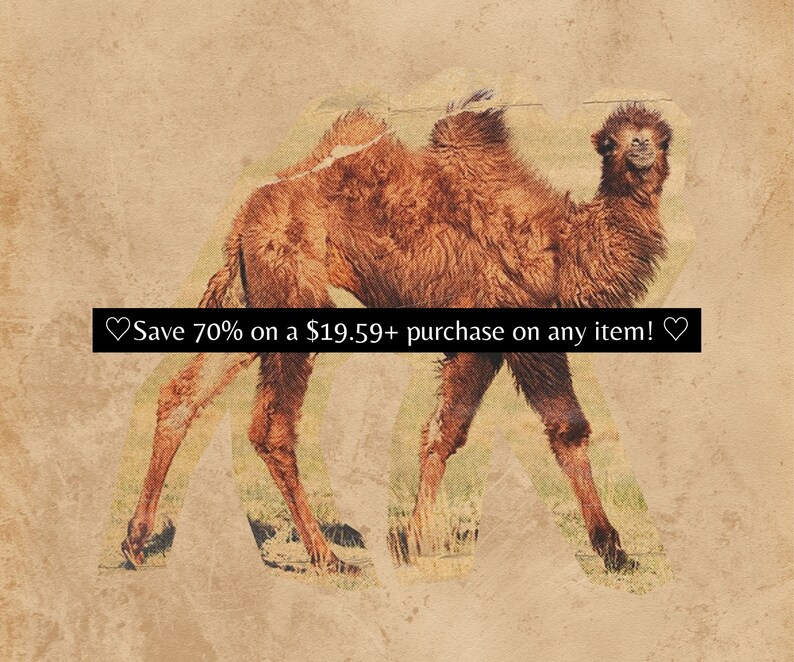 3D Digital Notebook Stickers Png 45 Colorful and Cute - Etsy