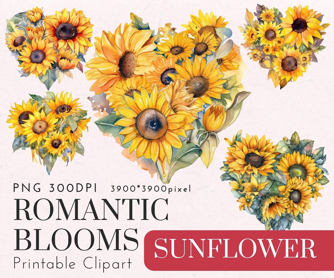 Watercolor Sunflower Clipart, Romantic Floral Bouquets & Heart-shaped ...