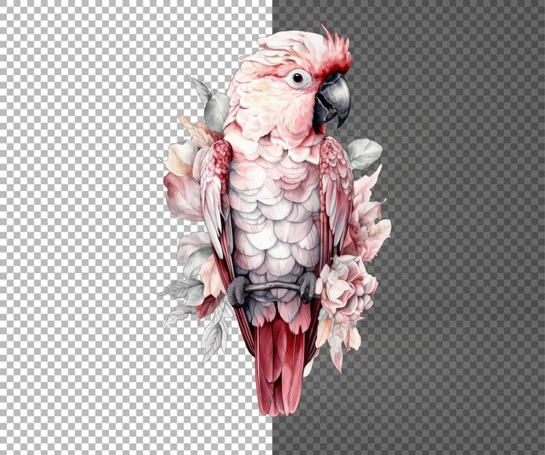 Pink Parrots Watercolor Clipart Set Exotic Birds With Flowers ...