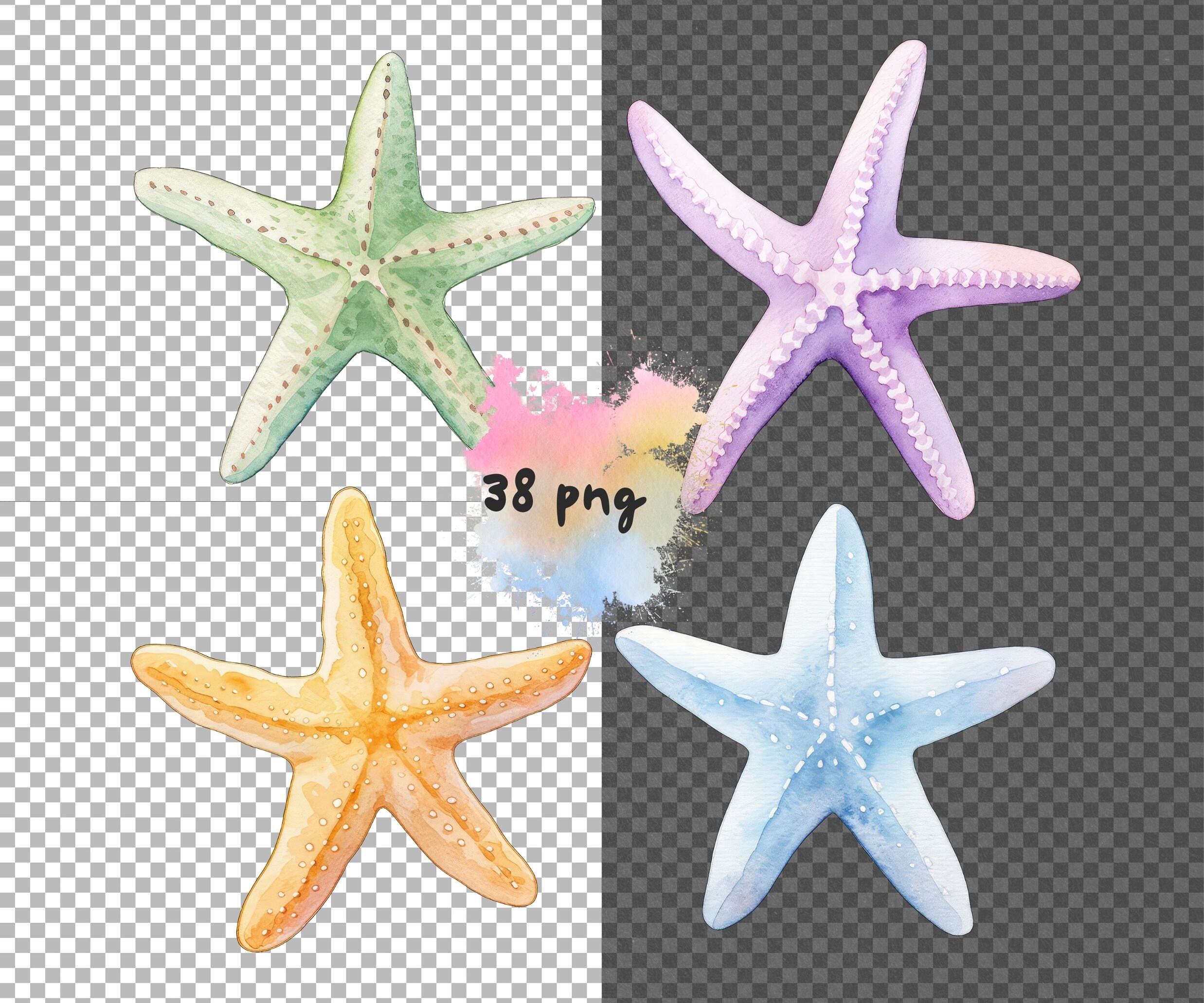 Watercolor Beach Treasures Clipart,sea Shells,sea Stars,corals ...