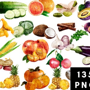 Watercolor Fruits and Vegetables Pngs With Transparent Backgrounds ...