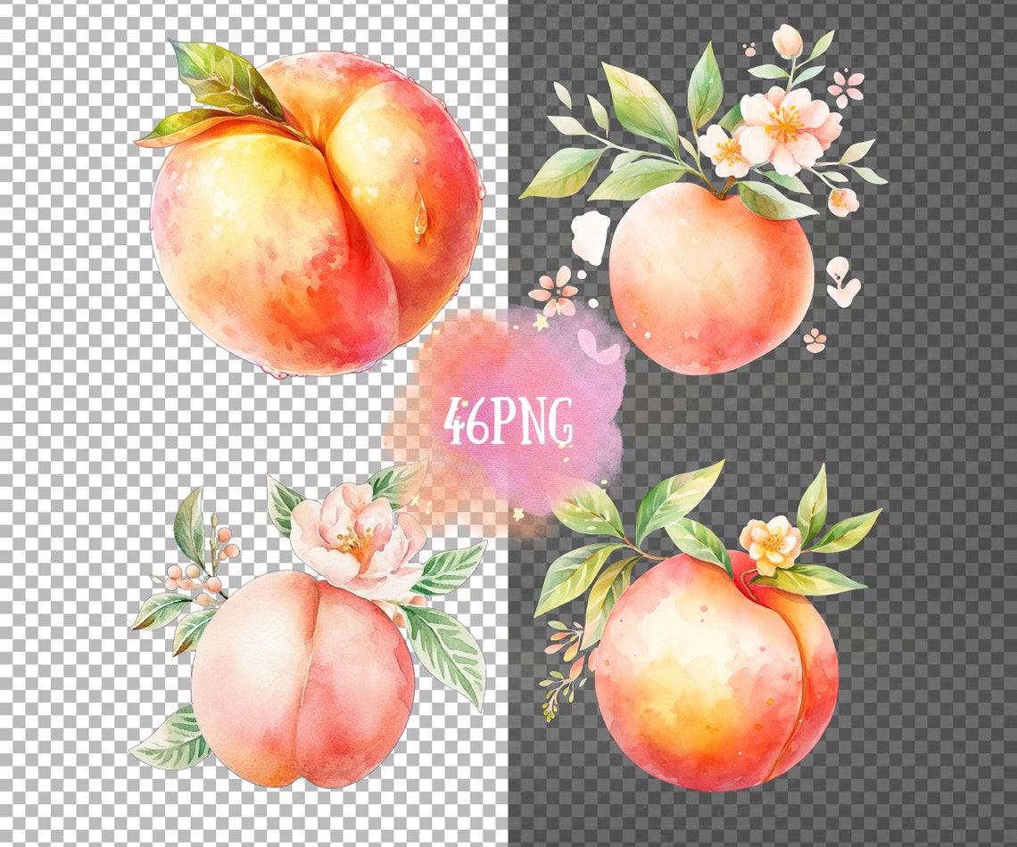 Peach Watercolor Clipart Decorative Frame Line Leaf Fruit - Etsy
