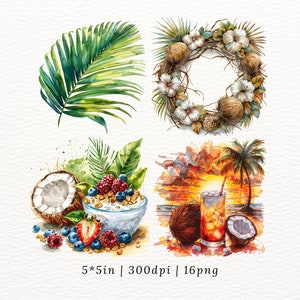 Watercolor Coconut Clipart PNG - Tropical Fruit Illustration Set ...