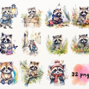 Chubby Raccoon Watercolor Clipart - Cute Kawaii Cartoon Raccoons, Baby ...