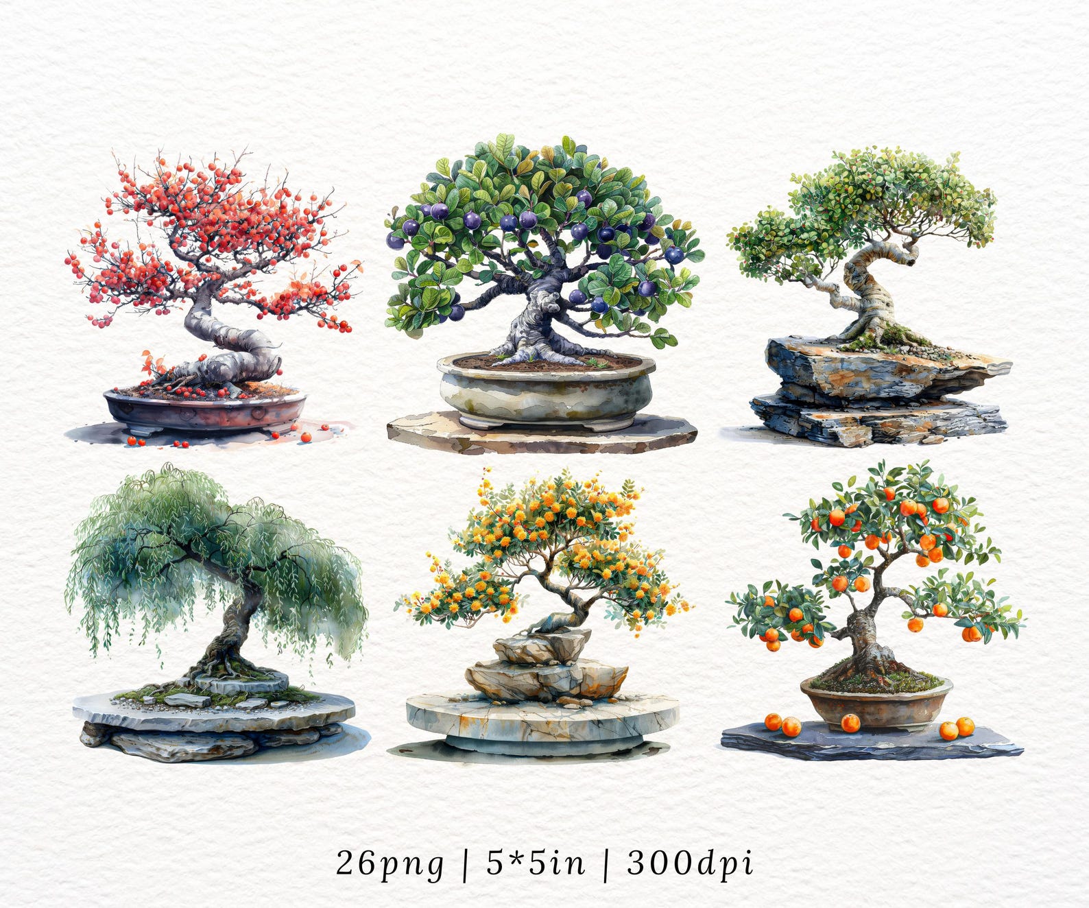 Watercolor Bonsai Tree Clipart - 26 PNG Miniature Tree Illustrations ...