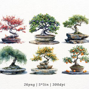 Watercolor Bonsai Tree Clipart - 26 PNG Miniature Tree Illustrations ...
