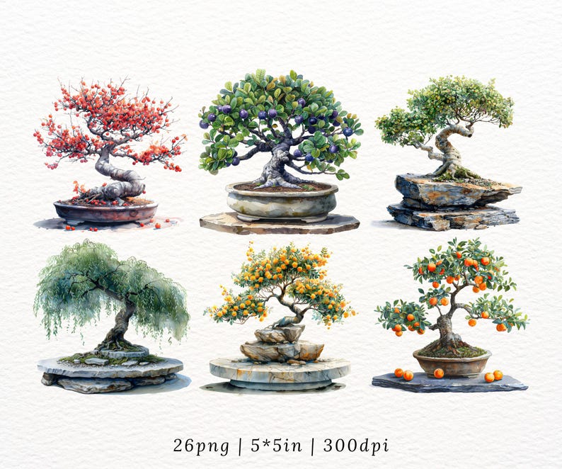Watercolor Bonsai Tree Clipart - 26 PNG Miniature Tree Illustrations ...