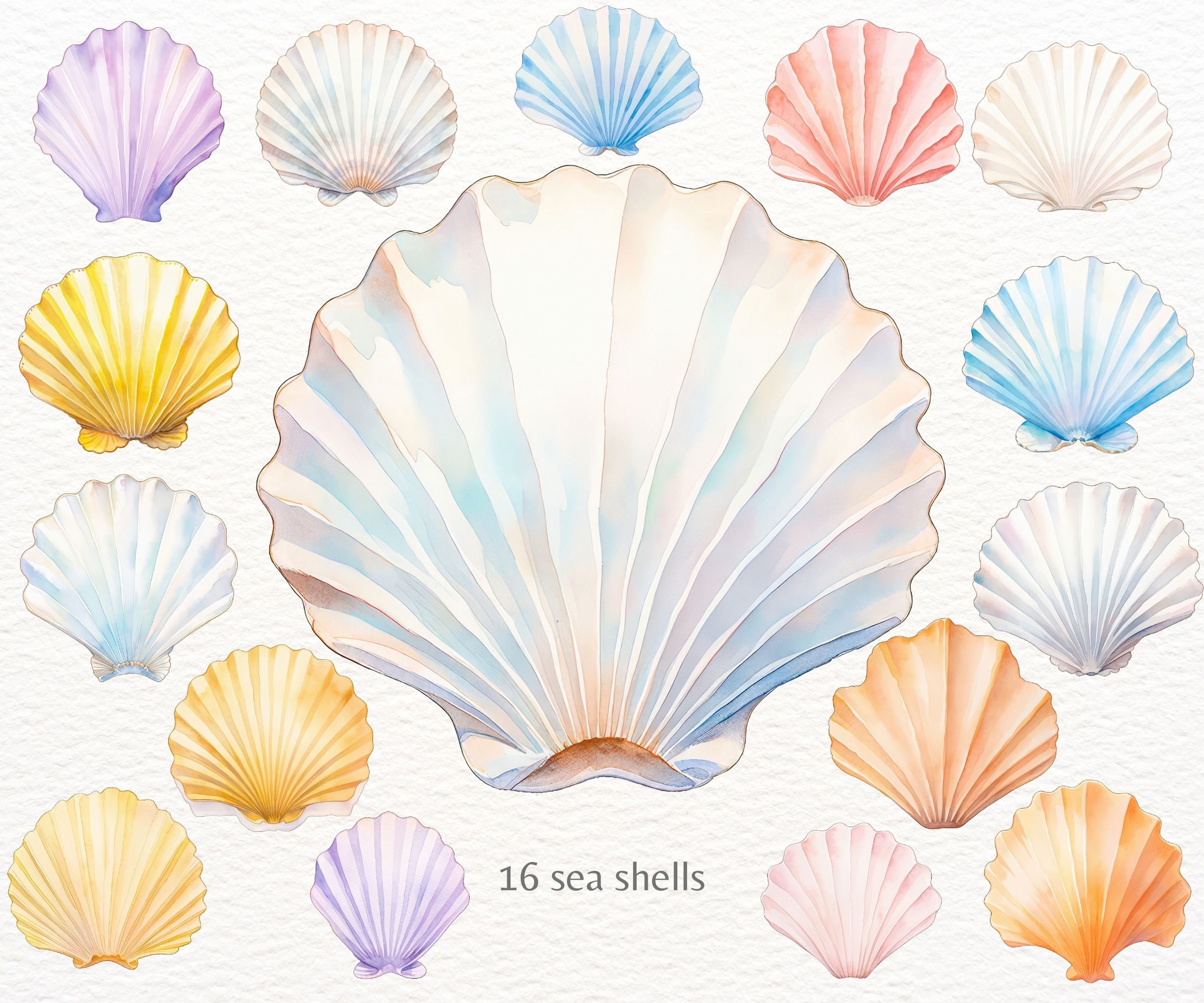 Watercolor Beach Treasures Clipart,sea Shells,sea Stars,corals ...