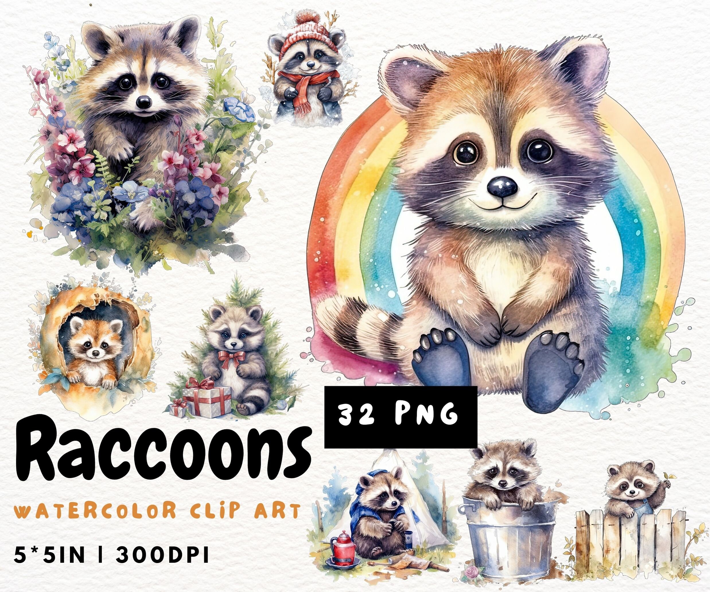 Chubby Raccoon Watercolor Clipart Cute Kawaii Cartoon - Etsy