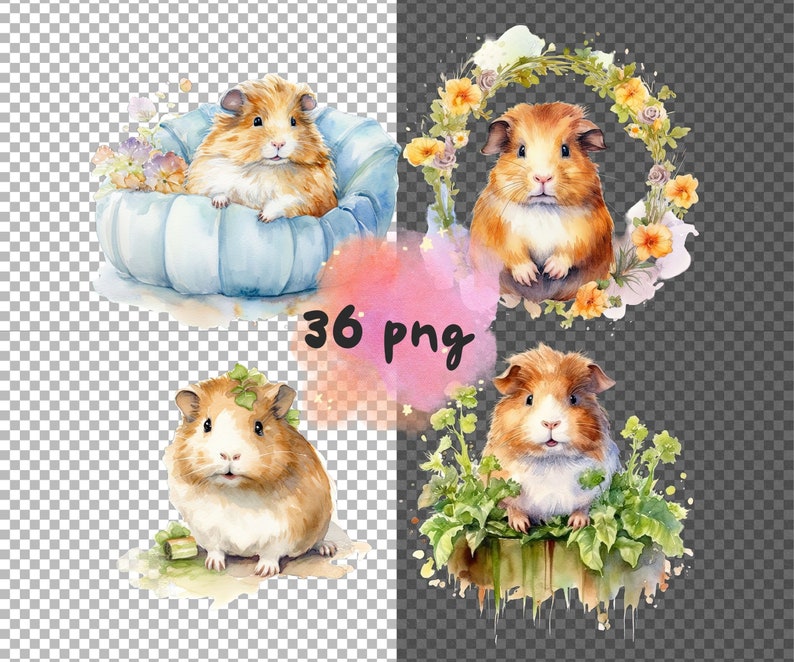 Chubby Guinea Pigs Watercolor Clipart Cute Kawaii Cartoon Guinea Pigs ...