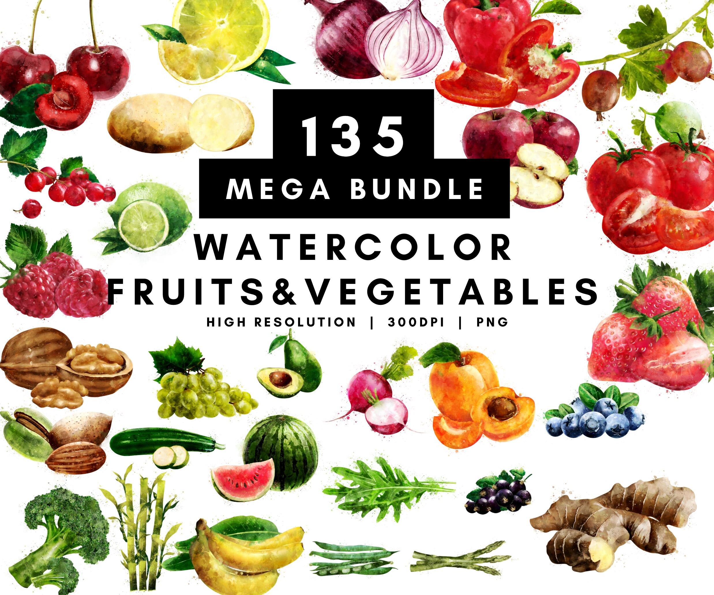Watercolor Fruits and Vegetables Pngs With Transparent - Etsy