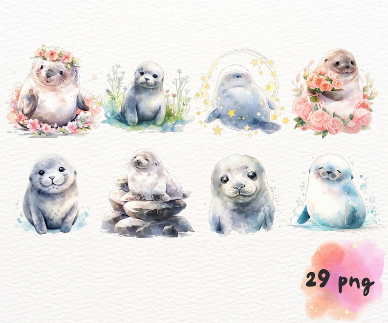 Chubby Seals Watercolor Clipart - Cute Kawaii Cartoon Pinnipeds, Baby ...